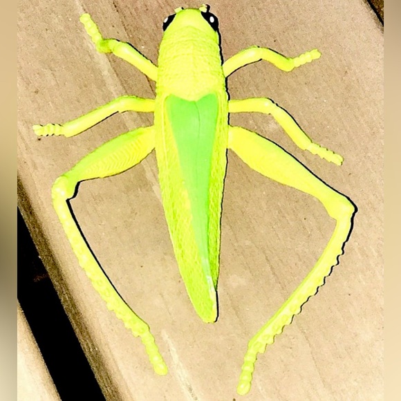 Toys | Vintage Rubber Plastic Oversize Grasshopper Creepy Crawler Toy ...